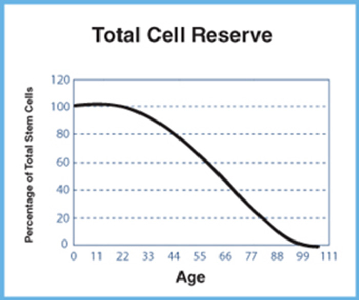 Stem-Kine – The World’s First Clinically Proven Stem Cell Supplement