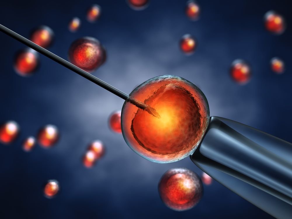 Stem Cells for Life and Longevity - Stem-Kine